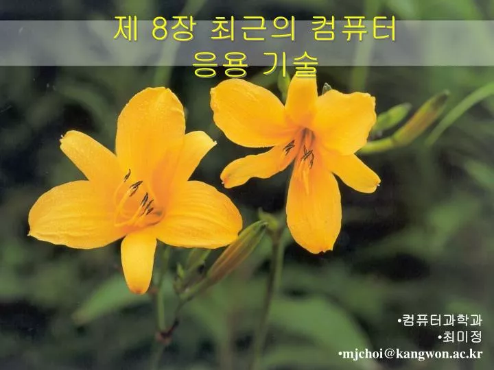 PPT - 제 8 장 최근의 컴퓨터 응용 기술 PowerPoint Presentation - ID:4085912