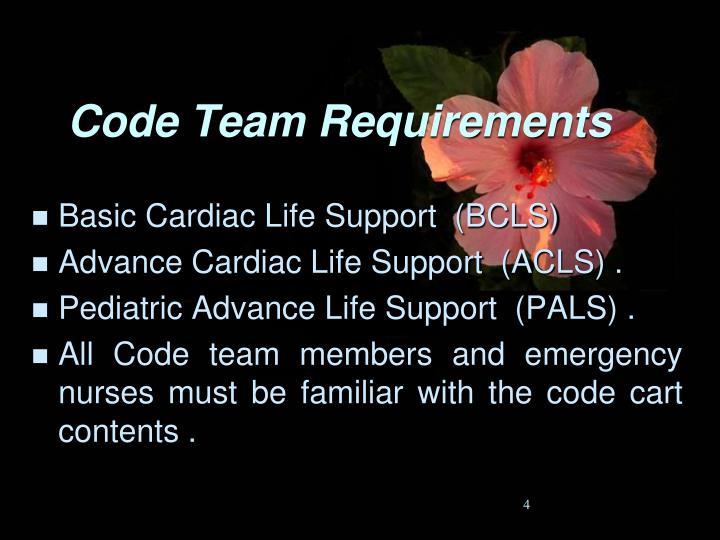 PPT - Code Team Members Roles and Responsibilities PowerPoint ...