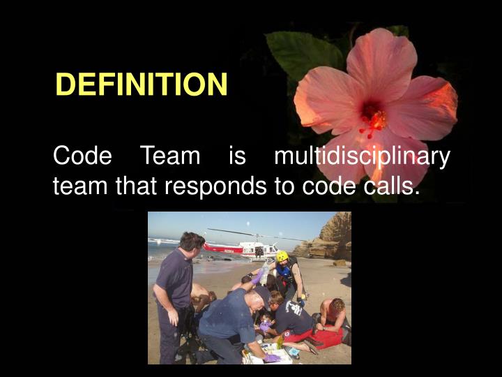 PPT - Code Team Members Roles and Responsibilities PowerPoint ...