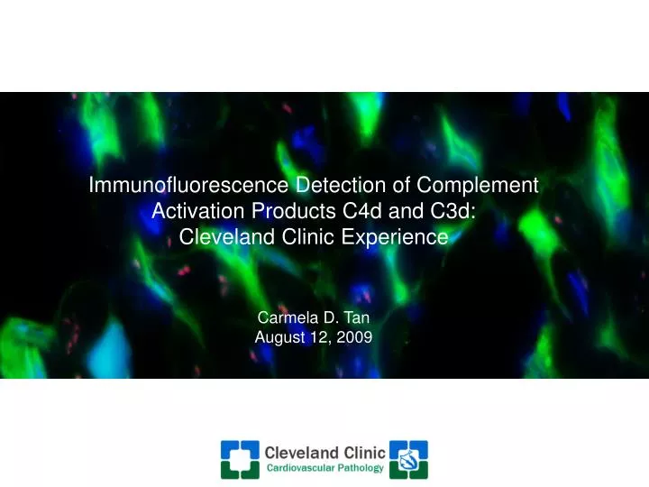 PPT - Immunofluorescence Detection of Complement Activation Products ...