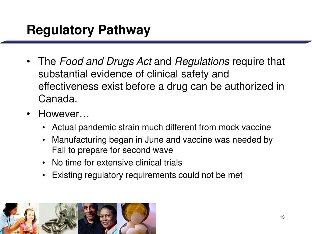 PPT - Regulation of H1N1 Pandemic Influenza Vaccine PowerPoint ...