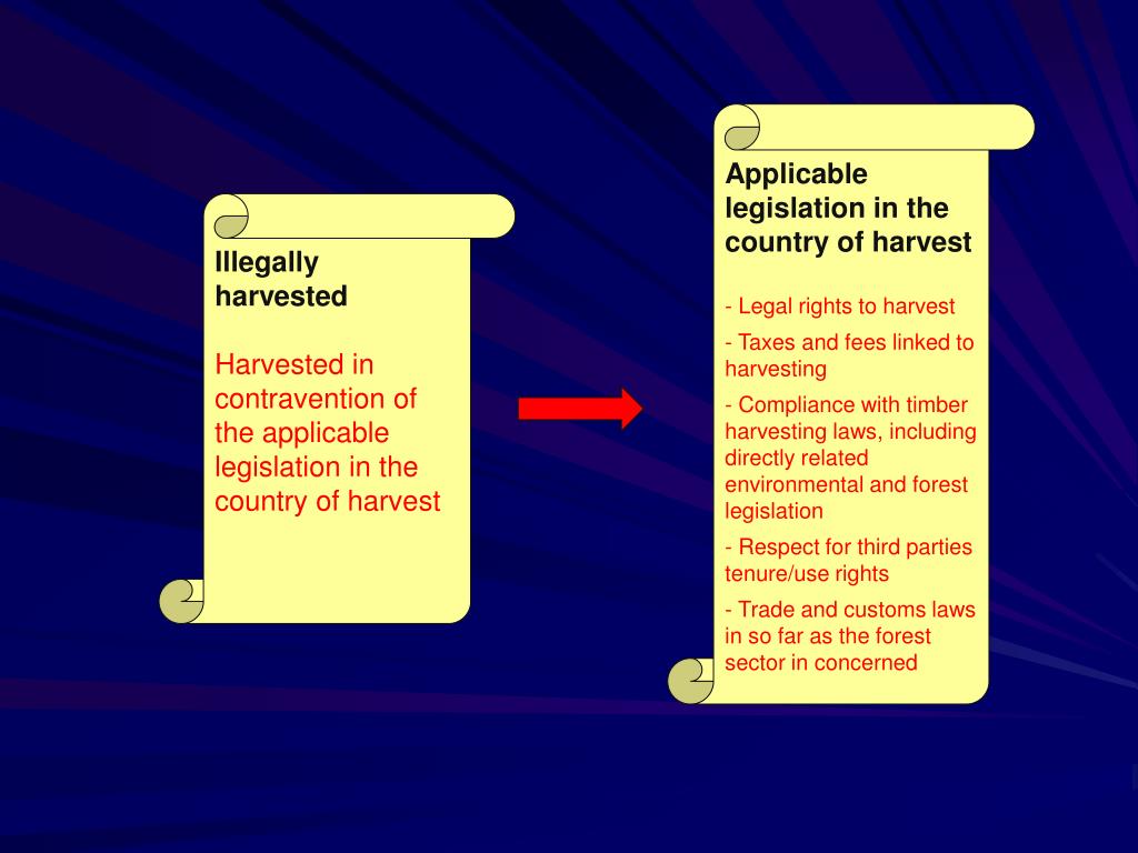 PPT - EU FLEGT Initiative: Promoting Legality in Timber Trade ...