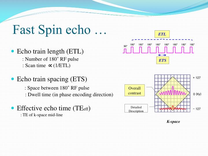 PPT - FAST SPIN ECHO PowerPoint Presentation - ID:4091180