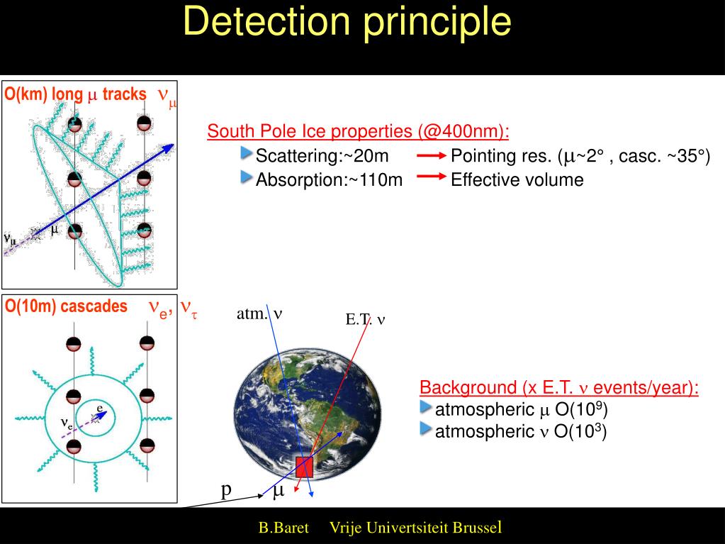 PPT - Vrije Universiteit Brussel, Belgium PowerPoint Presentation, free ...