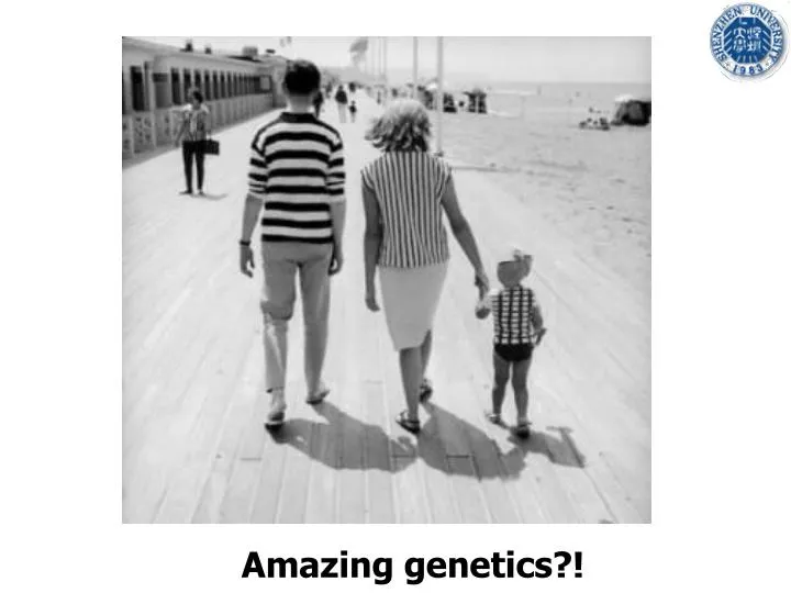 PPT - Amazing genetics?! PowerPoint Presentation, free download - ID ...