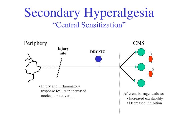 PPT - Definition of Pain (IASP) PowerPoint Presentation - ID:4095750