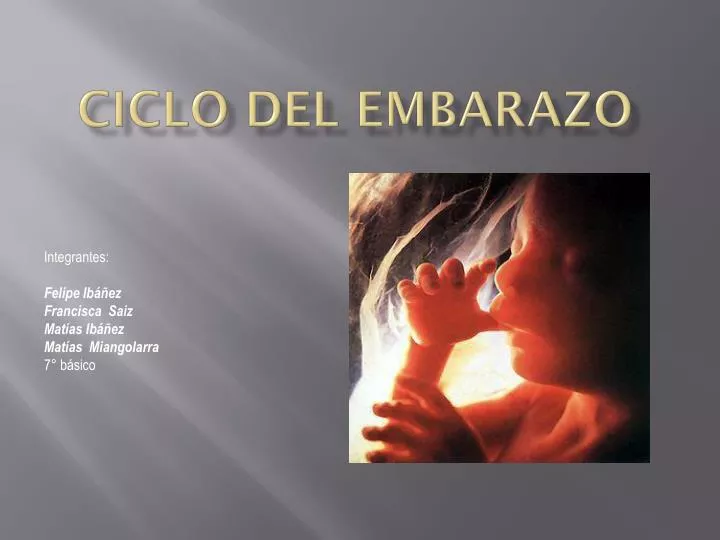PPT - CICLO DEL EMBARAZO PowerPoint Presentation, free download - ID ...
