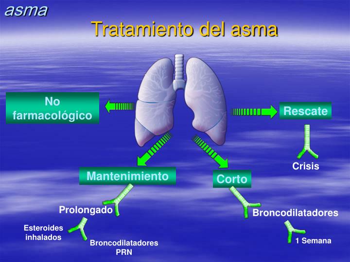 PPT - ASMA PowerPoint Presentation - ID:4098320