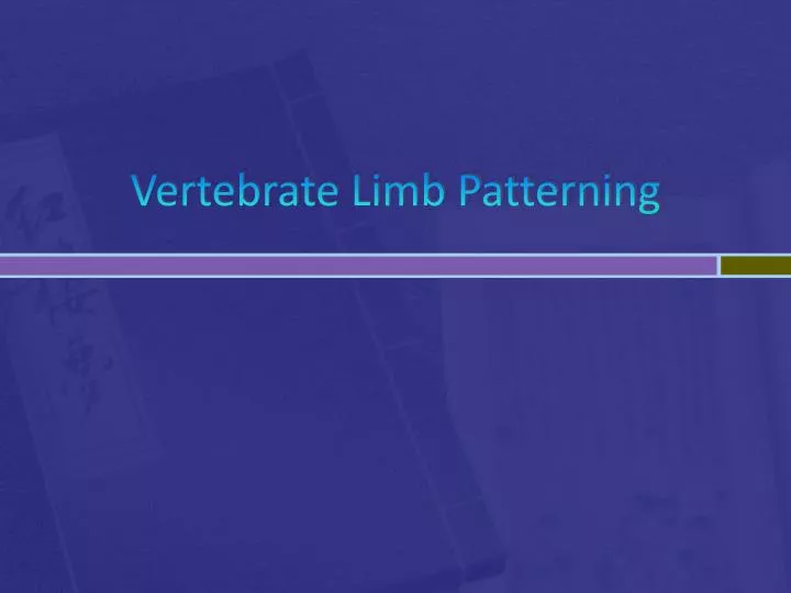 PPT - Vertebrate Limb Patterning PowerPoint Presentation, free download ...