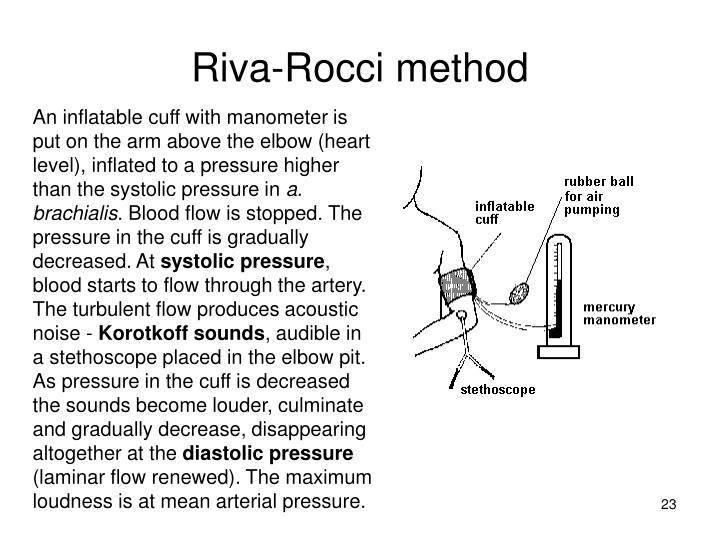 PPT - Biophysics of cardiovascular system PowerPoint Presentation - ID ...