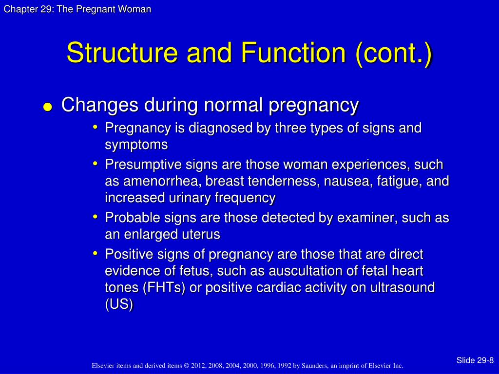 PPT - The Pregnant Woman PowerPoint Presentation, free download - ID ...