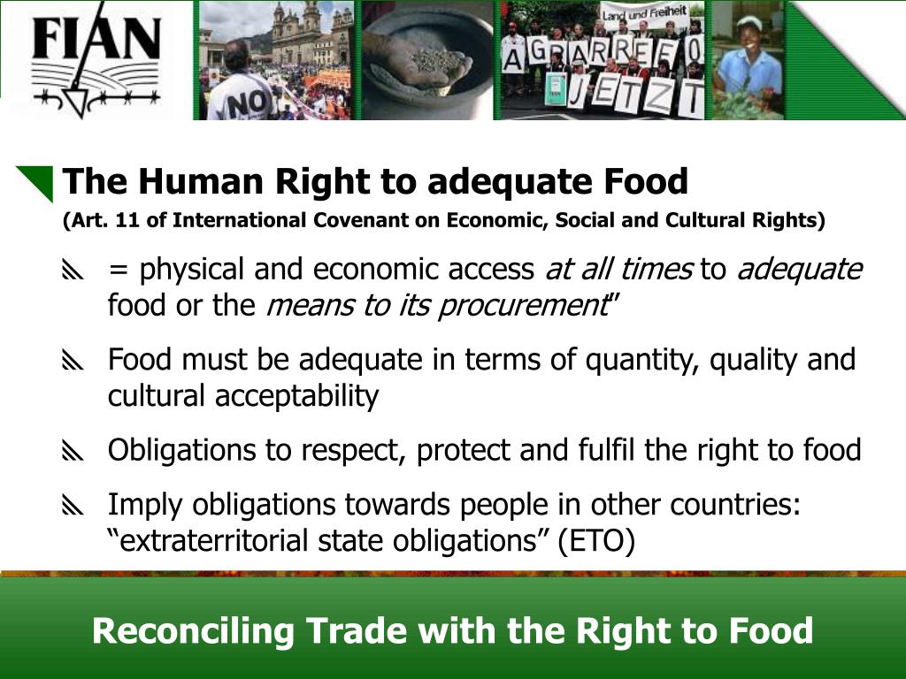 PPT - International Human Rights Organization for the Right to Food ...