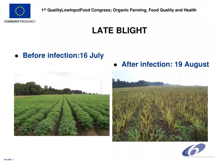 Difference between early blight and late blight - sheryhacker