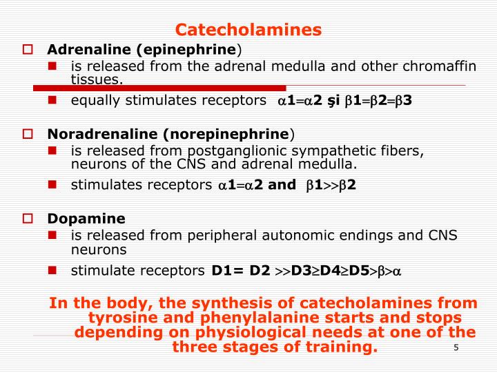 PPT - PHARMACOLOGY OF SYMPATHETIC NERVOUS SYSTEM PowerPoint ...