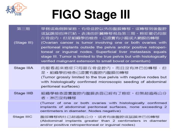 PPT - 卵巢癌 PowerPoint Presentation - ID:4102009
