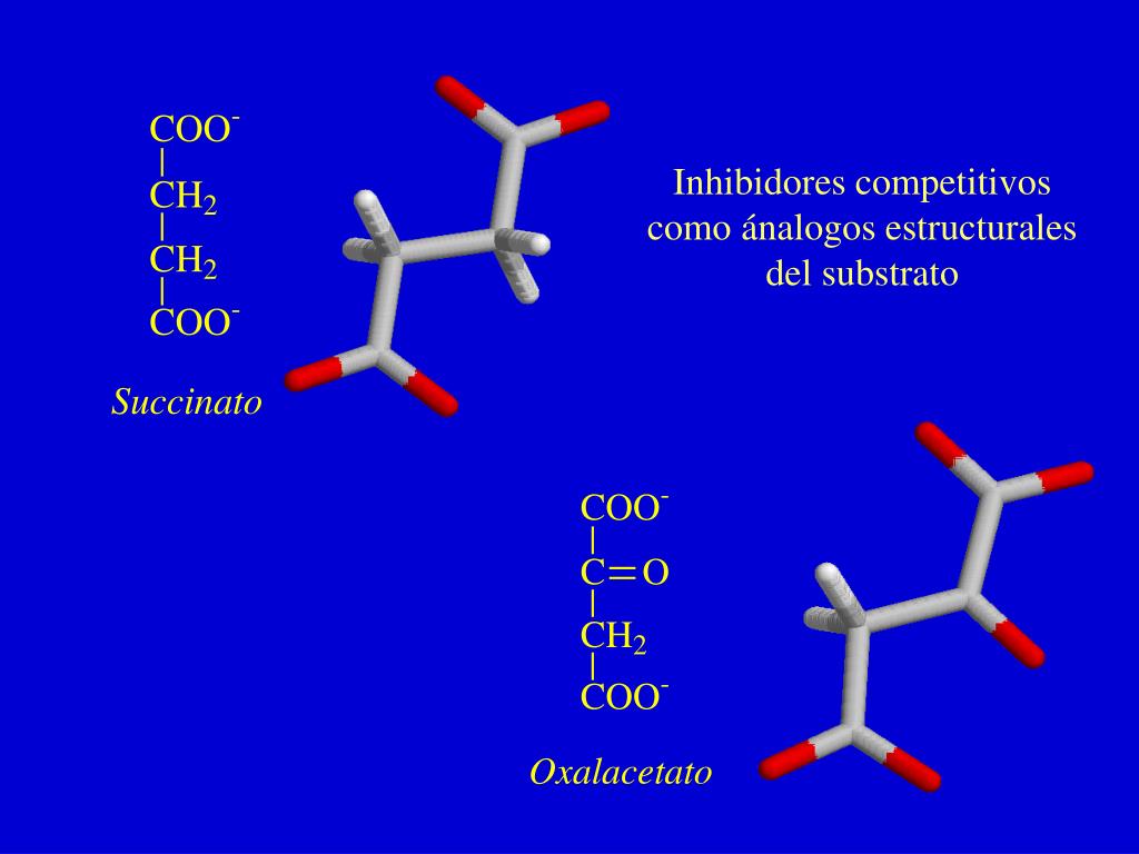 PPT - Inhibición enzimática PowerPoint Presentation, free download - ID ...
