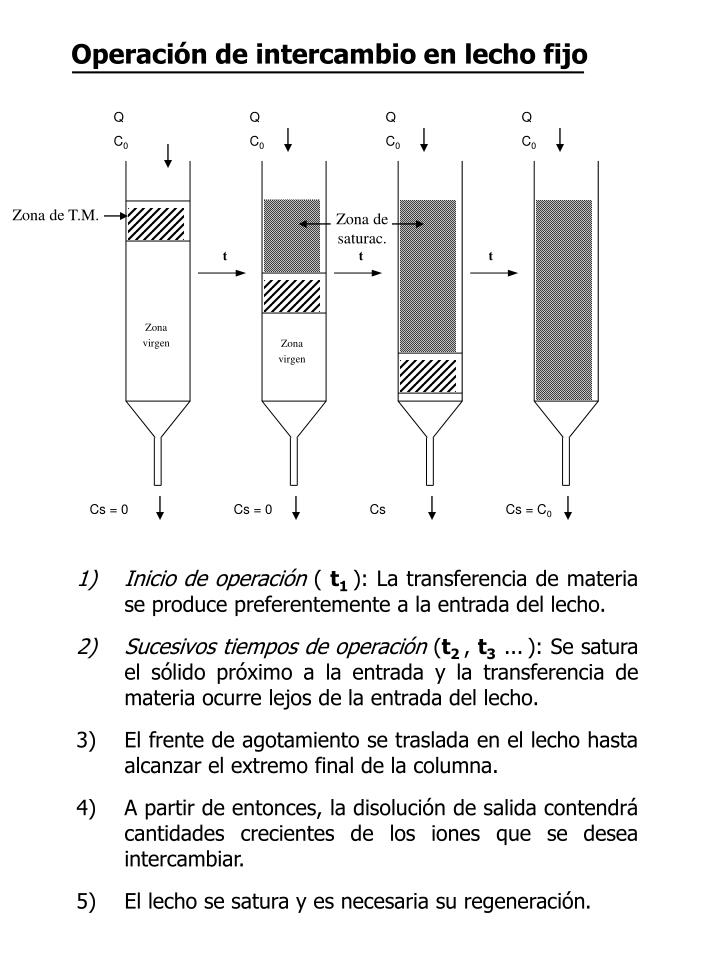 PPT - INTERCAMBIO IÓNICO PowerPoint Presentation - ID:4102521