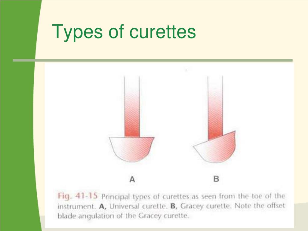 PPT - Dr Jamal Naim PhD in Orthodontics PowerPoint Presentation, free ...