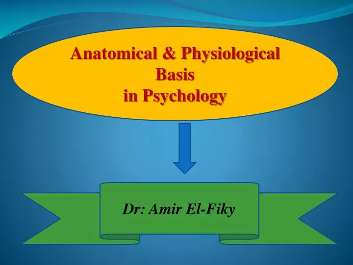 PPT - Anatomical & Physiological Basis in Psychology PowerPoint ...