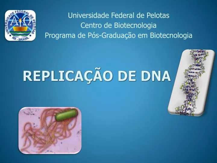 PPT - REPLICAÇÃO DE DNA PowerPoint Presentation, free download - ID:4104314