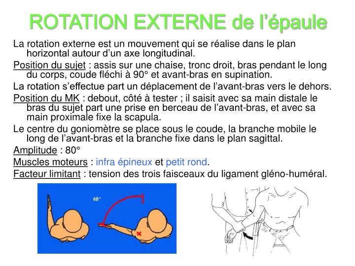 PPT - Bilan de l’épaule PowerPoint Presentation - ID:4104814