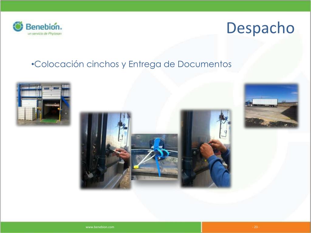 PPT - Tratamiento fitosanitario a base de Irradiación/ Planta Benebión ...