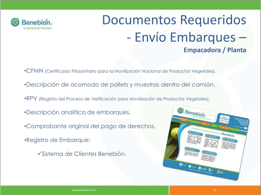 PPT - Tratamiento fitosanitario a base de Irradiación/ Planta Benebión ...