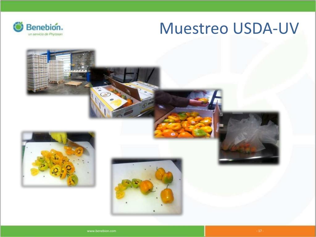PPT - Tratamiento fitosanitario a base de Irradiación/ Planta Benebión ...