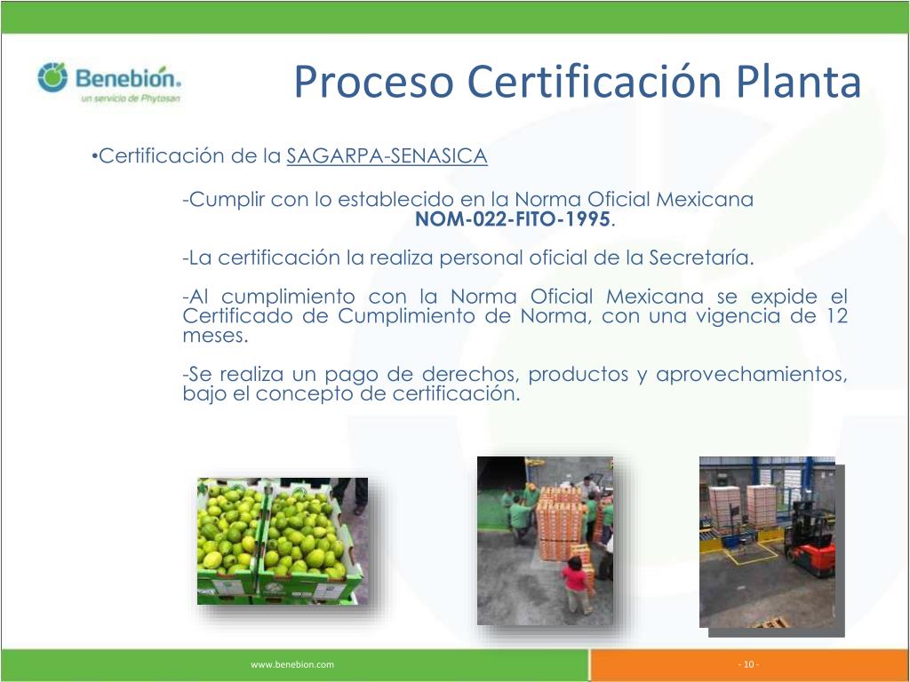 PPT - Tratamiento fitosanitario a base de Irradiación/ Planta Benebión ...