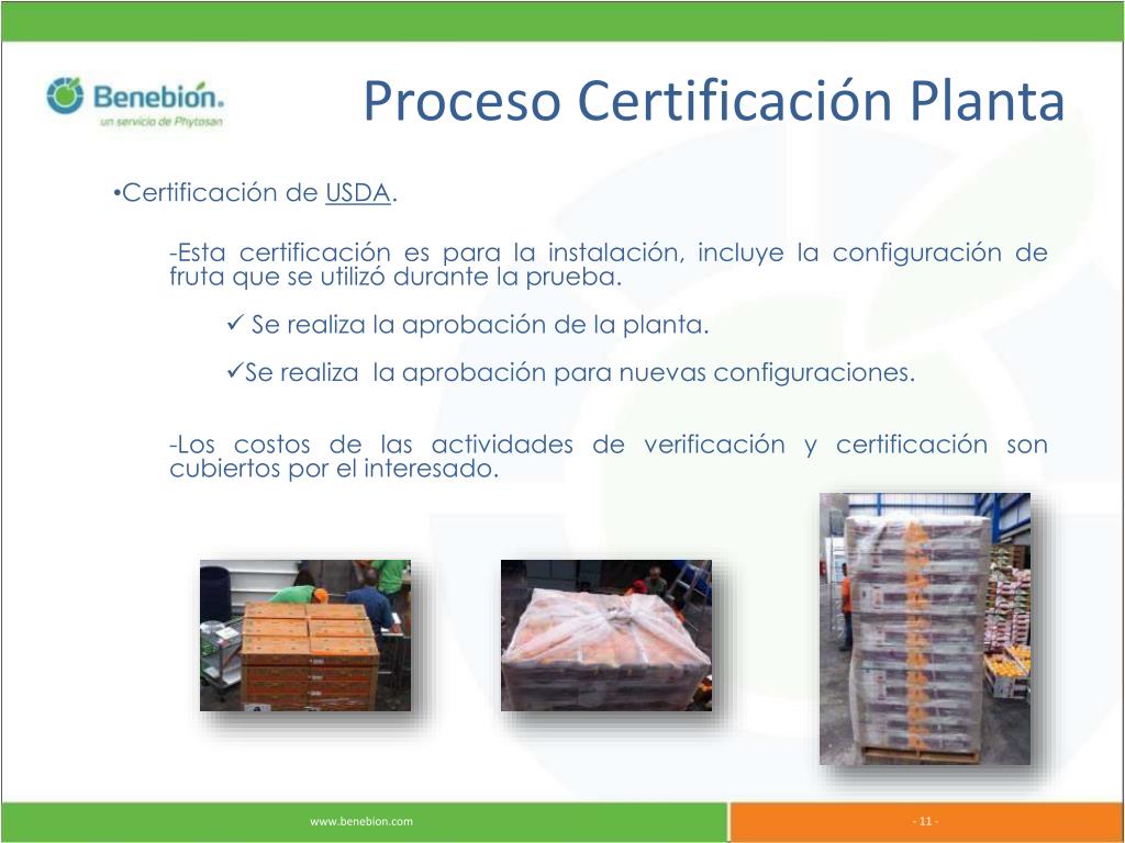 PPT - Tratamiento fitosanitario a base de Irradiación/ Planta Benebión ...