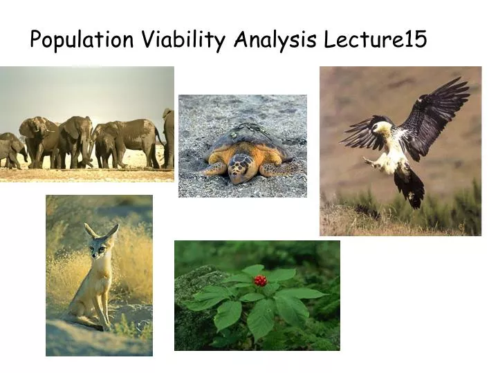 Ppt Population Viability Analysis Lecture15 Powerpoint Presentation