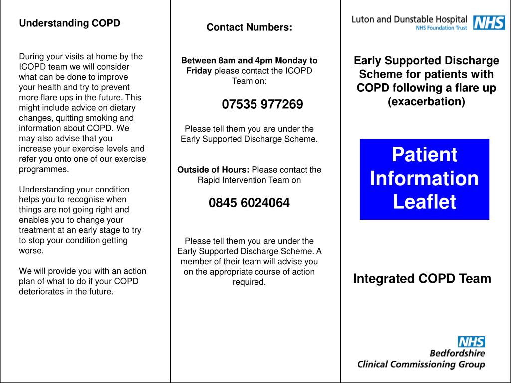 PPT - Understanding COPD PowerPoint Presentation, free download - ID ...