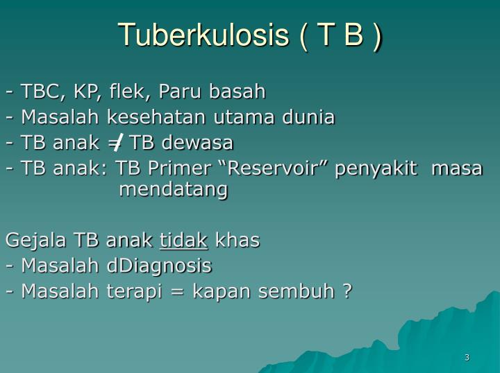 PPT - TB–DOTS & ISTC Pada Pasien Anak PowerPoint Presentation - ID:4108358