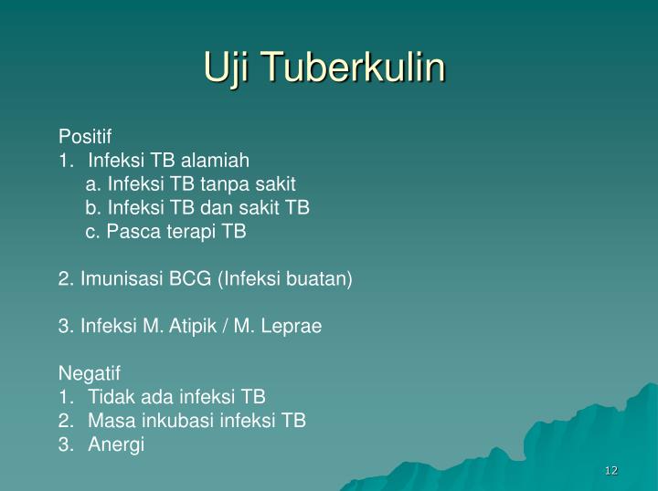 PPT - TB–DOTS & ISTC Pada Pasien Anak PowerPoint Presentation - ID:4108358