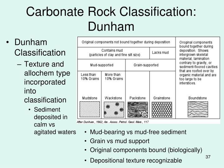 PPT - Sedimentary Rocks and the Origin of Sedimentary Strata PowerPoint ...
