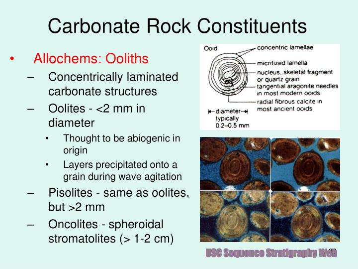 PPT - Sedimentary Rocks and the Origin of Sedimentary Strata PowerPoint ...