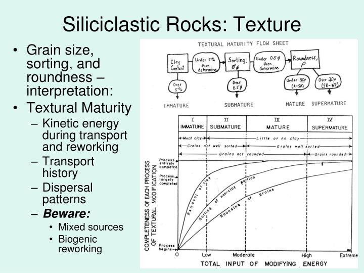 PPT - Sedimentary Rocks and the Origin of Sedimentary Strata PowerPoint ...