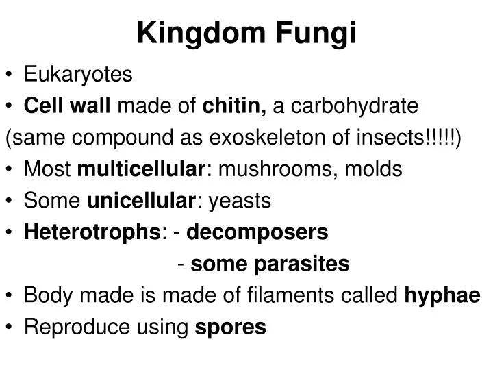 PPT - Kingdom Fungi PowerPoint Presentation, free download - ID:4111868