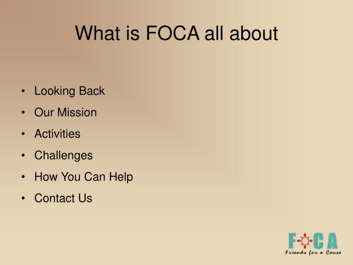 PPT - FOCA Friends fOr a Cause PowerPoint Presentation - ID:4112965