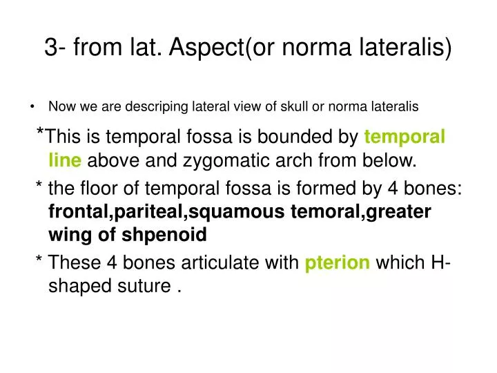 PPT - 3- from lat. Aspect(or norma lateralis) PowerPoint Presentation ...
