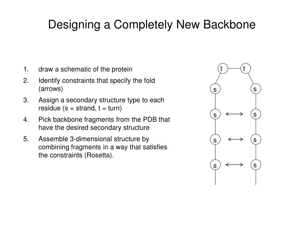 PPT - Protein Folding Protein Structure Prediction Protein Design ...