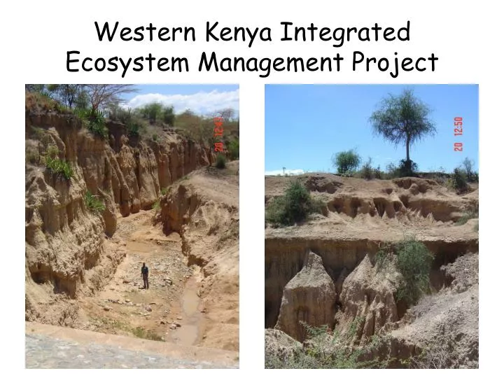 PPT - Western Kenya Integrated Ecosystem Management Project PowerPoint ...