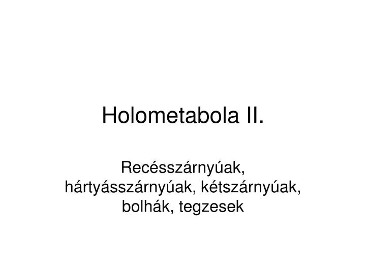 PPT - Holometabola II. PowerPoint Presentation, free download - ID:4115723