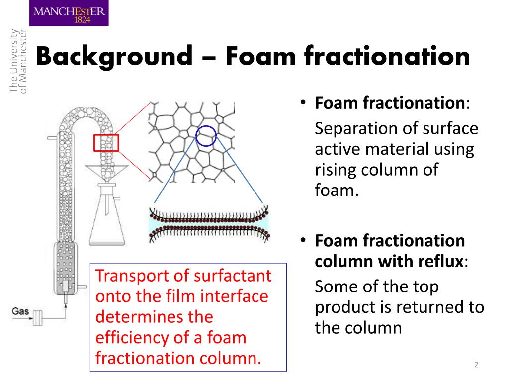 PPT - Denny Vitasari, Paul Grassia , Peter Martin Foam and Minimal ...