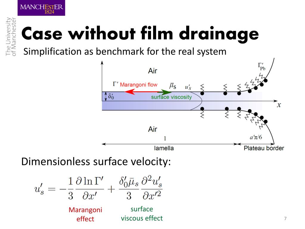 PPT - Denny Vitasari, Paul Grassia , Peter Martin Foam and Minimal ...