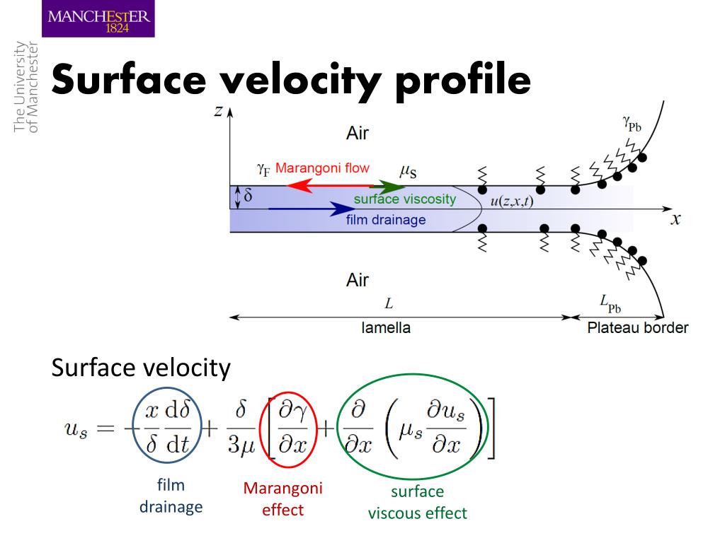 PPT - Denny Vitasari, Paul Grassia , Peter Martin Foam and Minimal ...