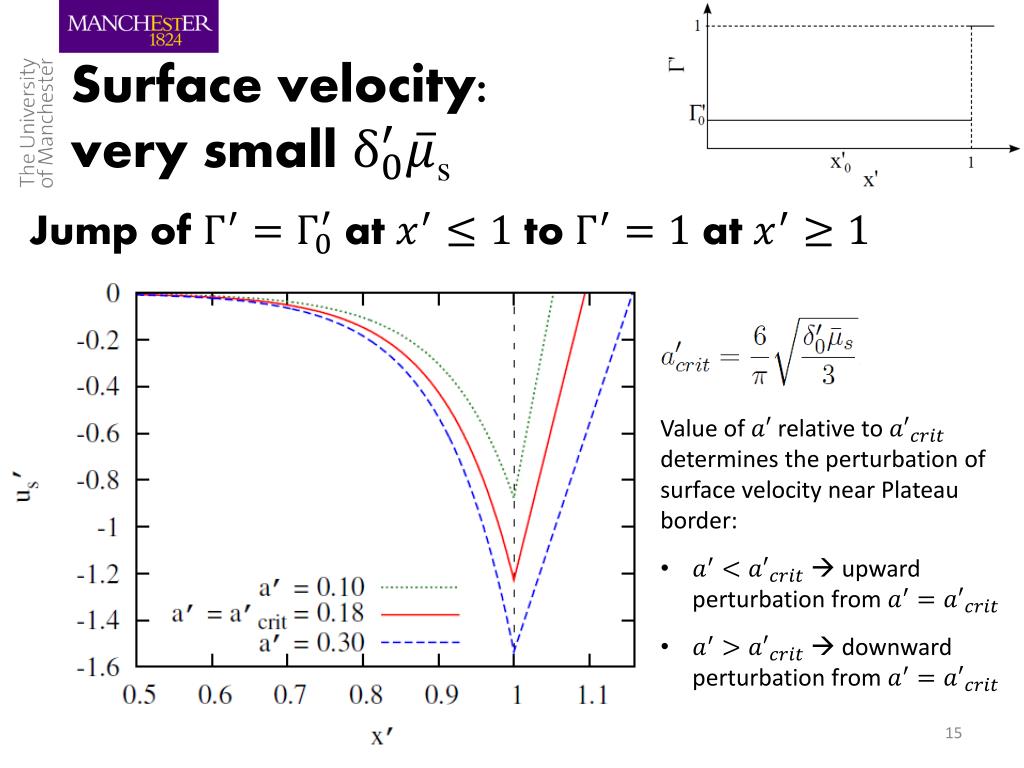 PPT - Denny Vitasari, Paul Grassia , Peter Martin Foam and Minimal ...