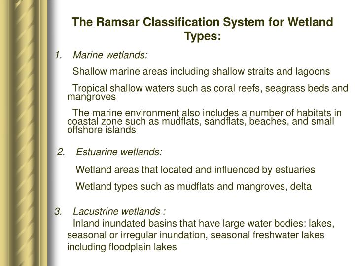 PPT - WETLAND ECOSYSTEMS PowerPoint Presentation - ID:4117810