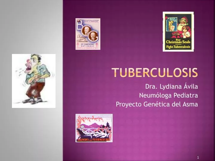 PPT - Tuberculosis PowerPoint Presentation, free download - ID:4118497