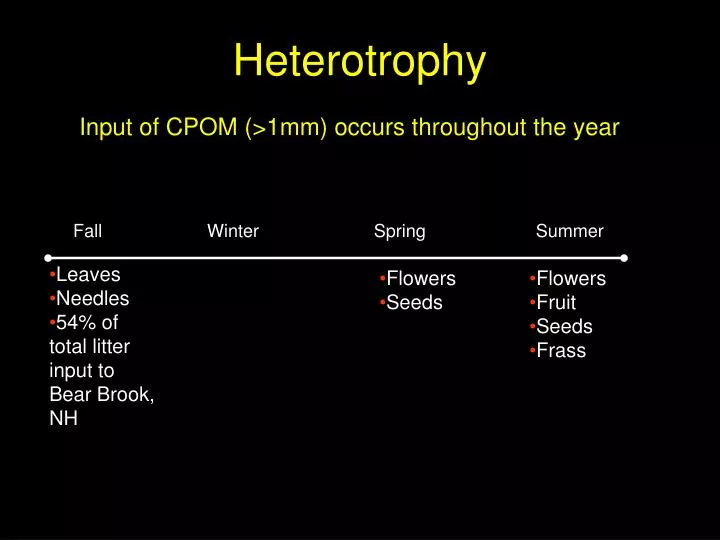 PPT - Heterotrophy PowerPoint Presentation, free download - ID:4118613